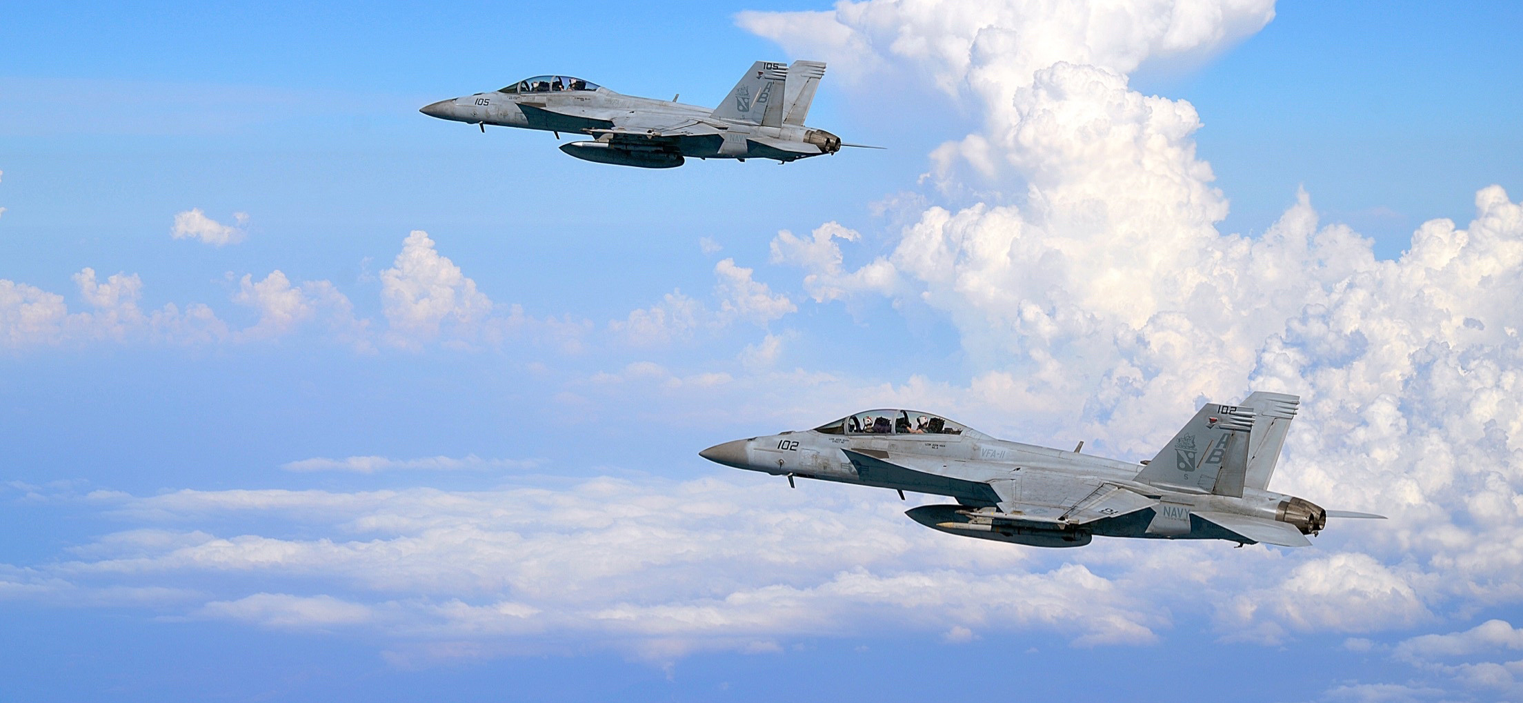 Association of Naval Aviation